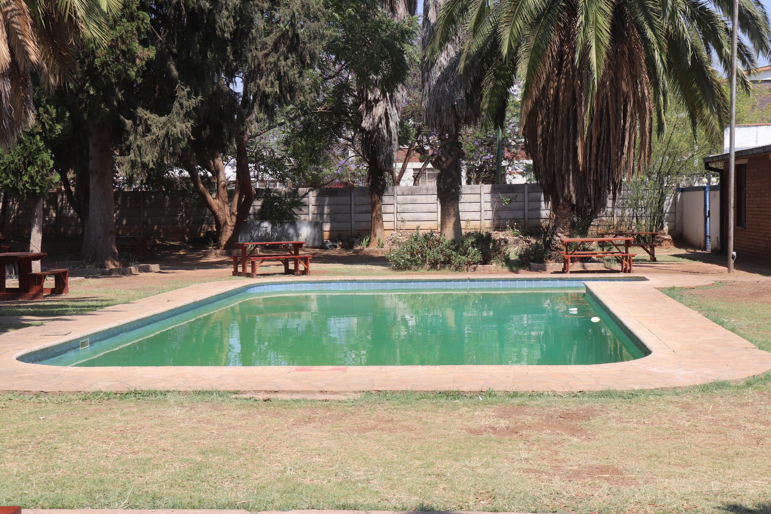 Death at city pub swimming pool – herald