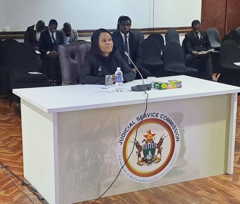 Court in session! 27 candidates face off for Labour Court seats – herald