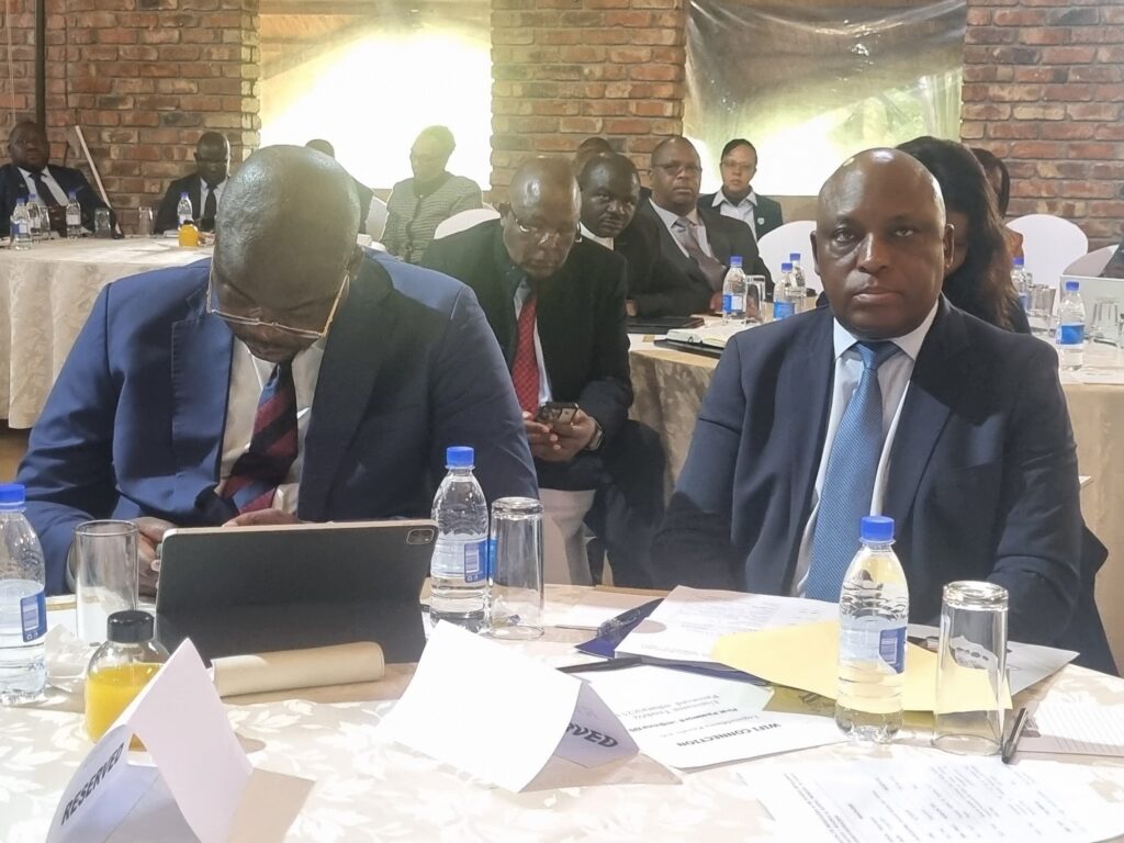 Government unveils National Development Strategy 2 roadmap – herald