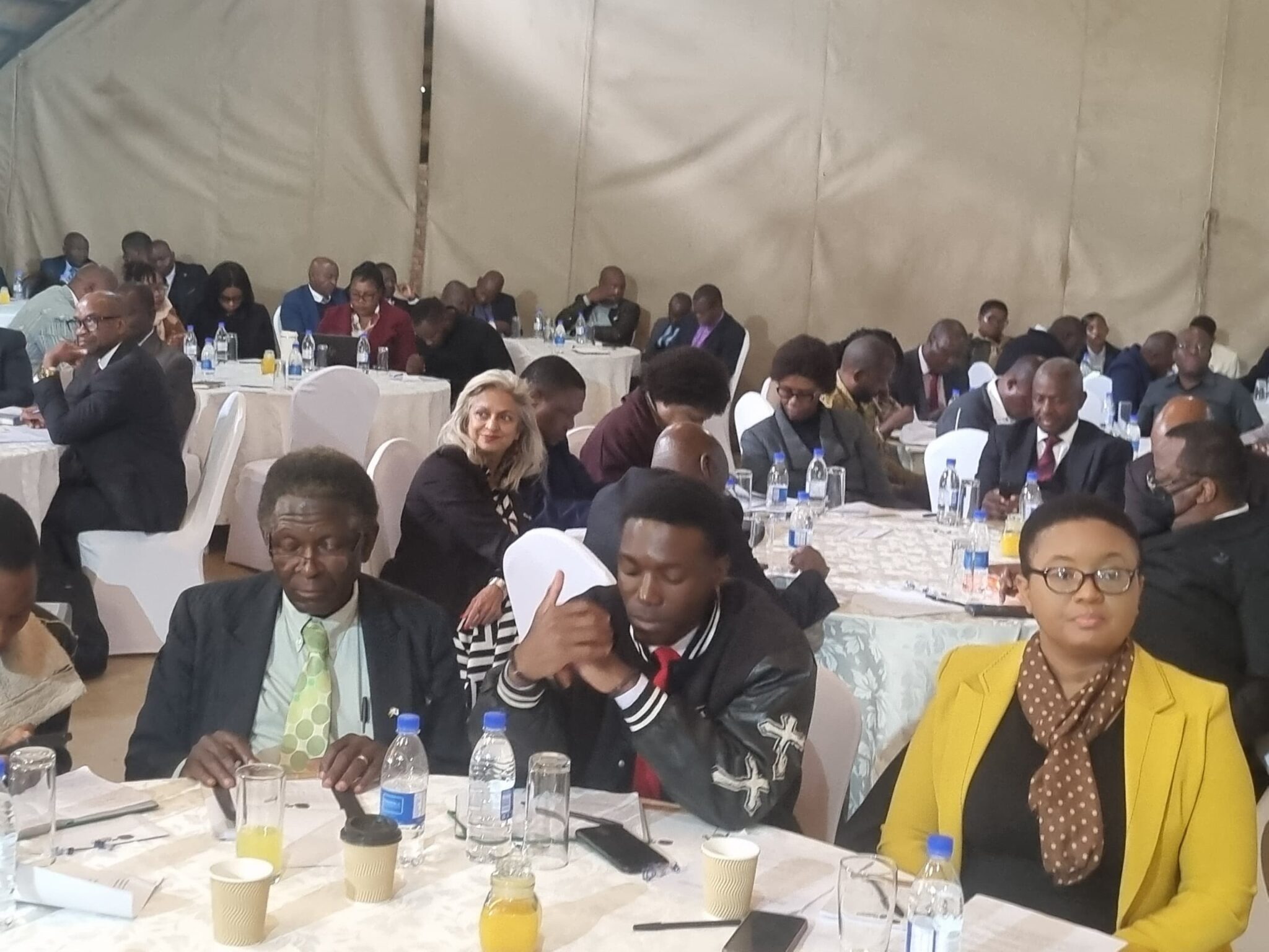 Government unveils National Development Strategy 2 roadmap – herald