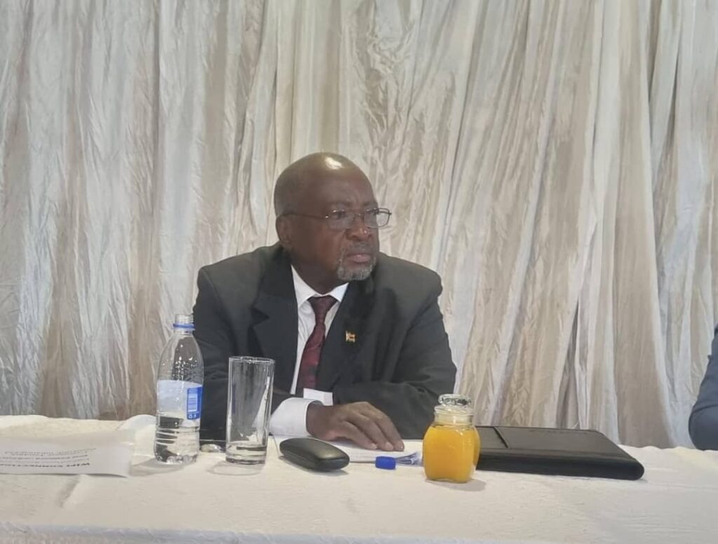 Government unveils National Development Strategy 2 roadmap – herald