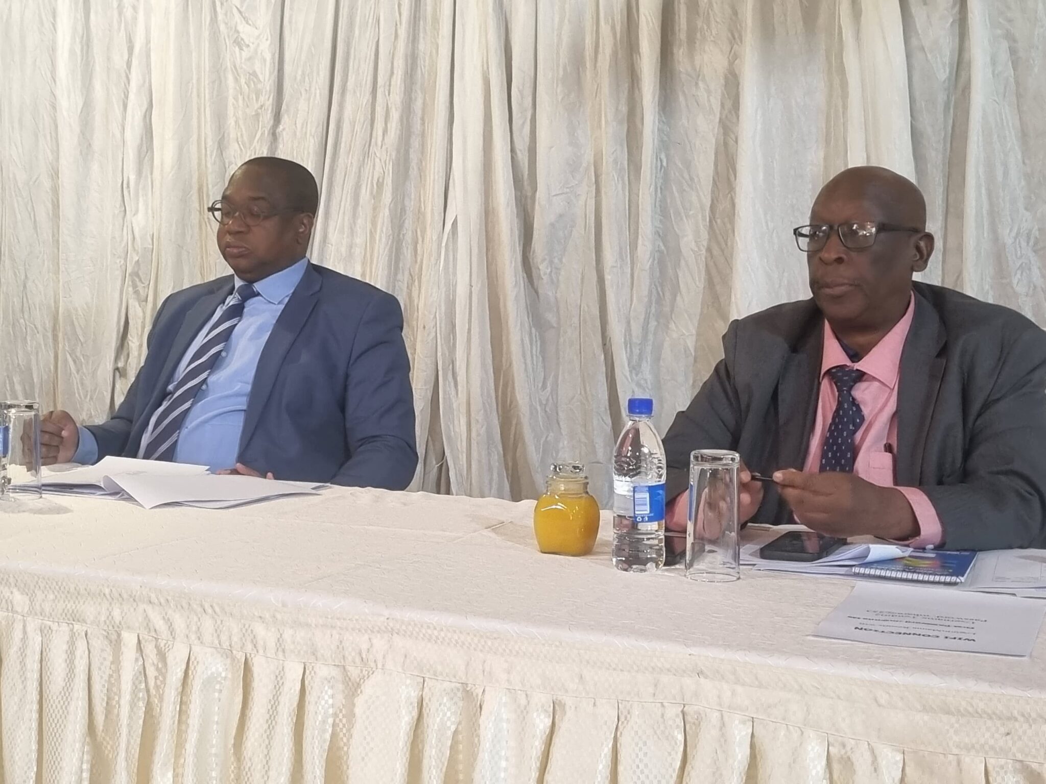 Government unveils National Development Strategy 2 roadmap - herald