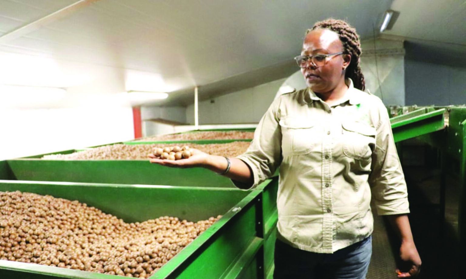 Unveiling Chipinge’s hidden treasures – herald