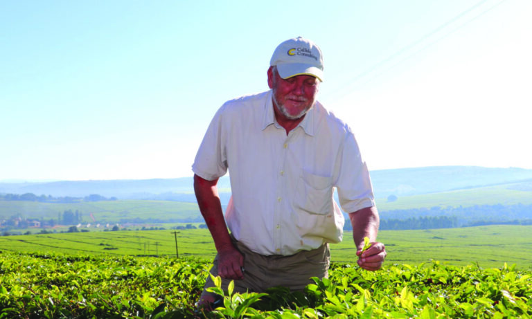 Unveiling Chipinge’s hidden treasures – herald