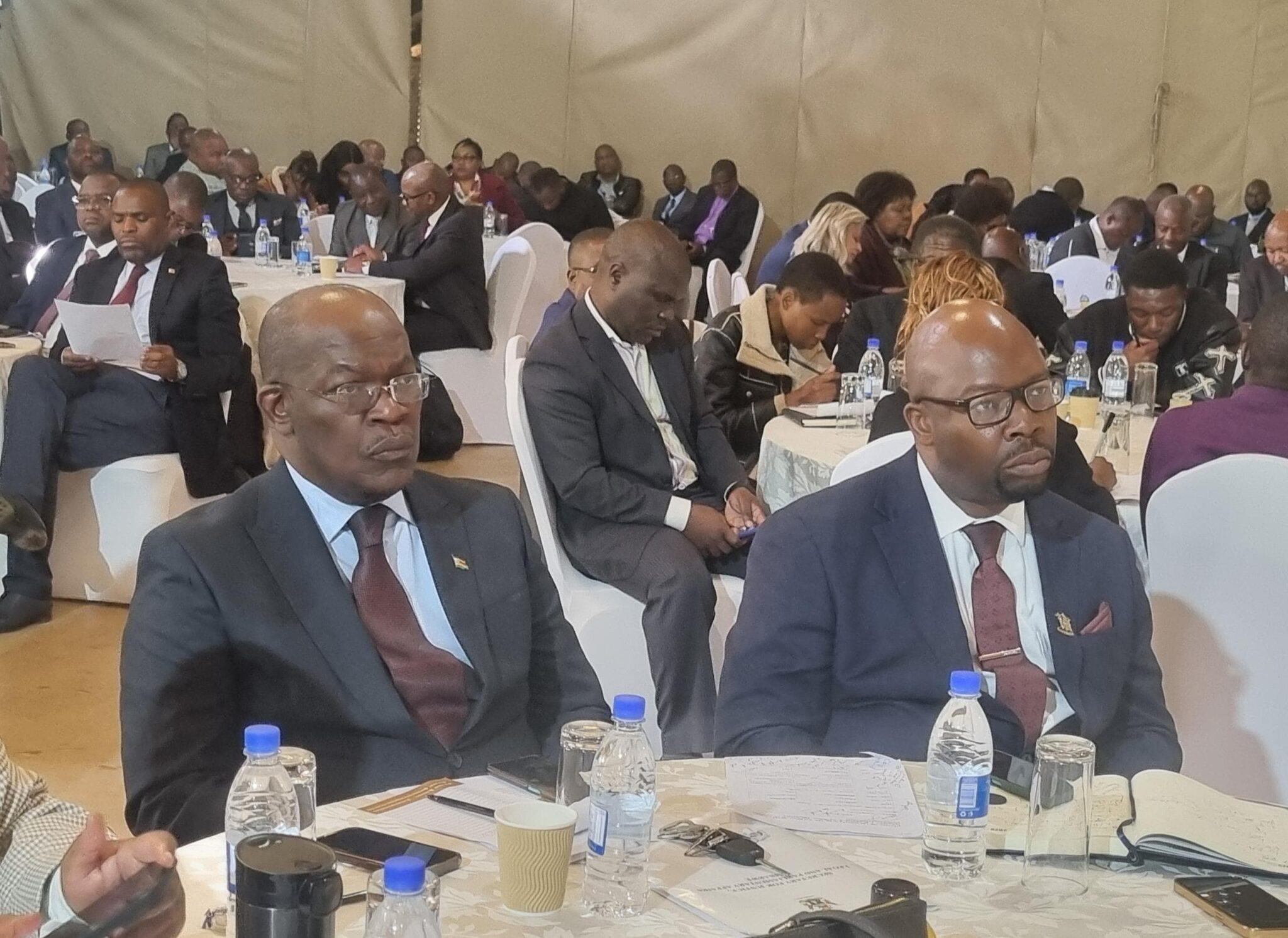 Government unveils National Development Strategy 2 roadmap – herald