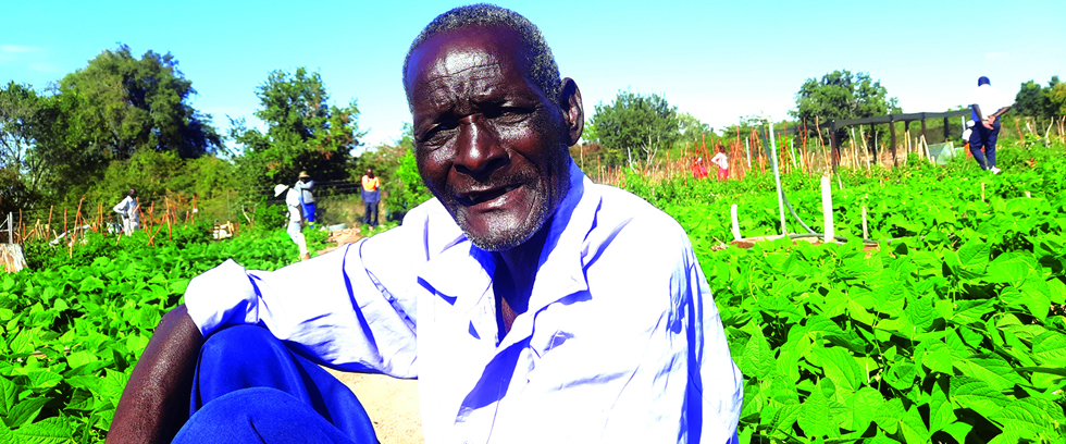 Buhera’s wetland restoration transforms lives - herald