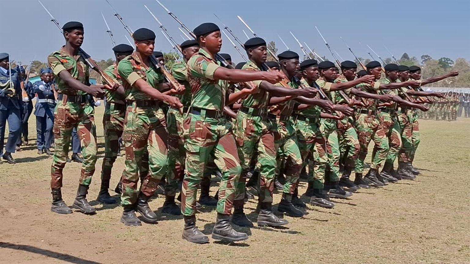 Defence Forces celebrations attract bumper crowd in Chinhoyi - herald