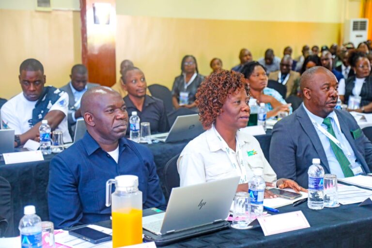 Crafting sustainable, bankable tourism projects key to economic growth ...
