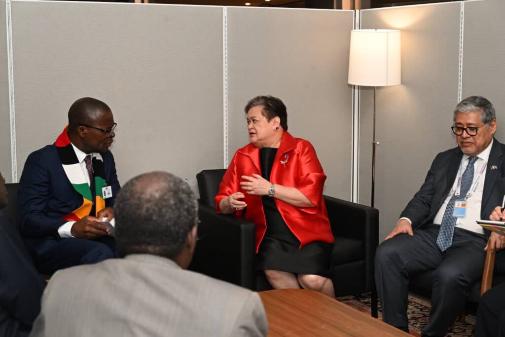 NEW: Zimbabwe to launch bid for Security Council seat on Thursday - herald
