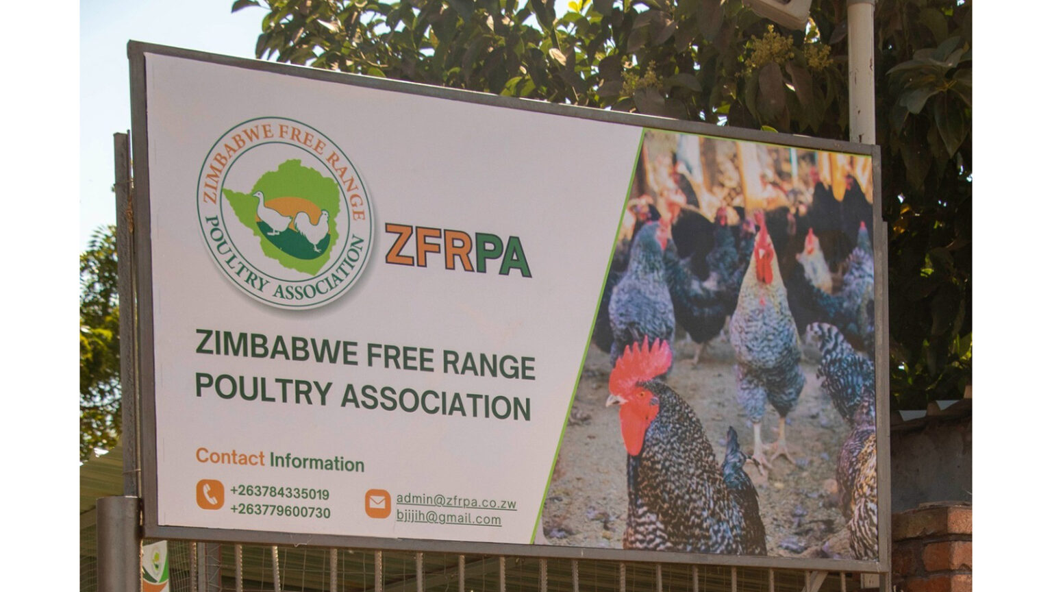 Zimbabwe Free Range Poultry Association celebrates 10th anniversary ...