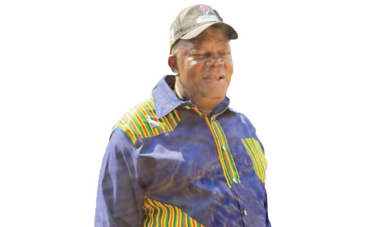 CHIMURENGA CHRONICLES: Briefings from spirit mediums were communicated ...