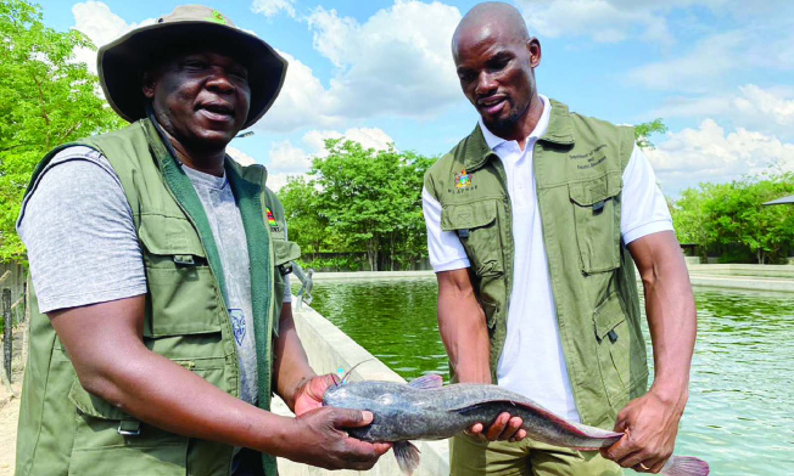 Seke fish farmer pocketing US$26 000 every six months - herald