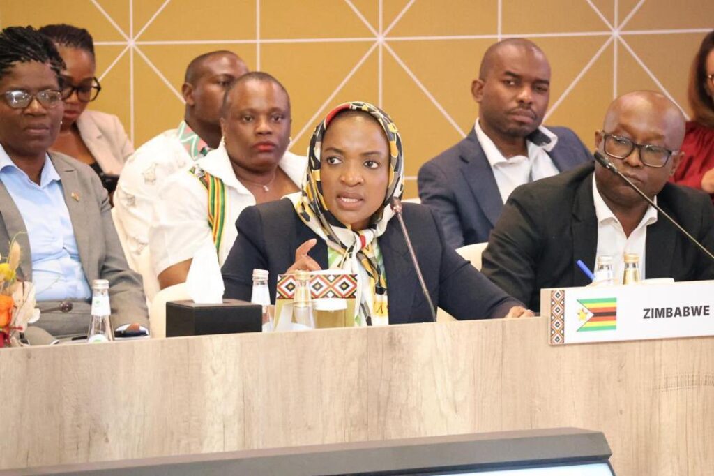 Tourism Minister Barbara Rwodzi appointed UN Tourism General Assembly ...