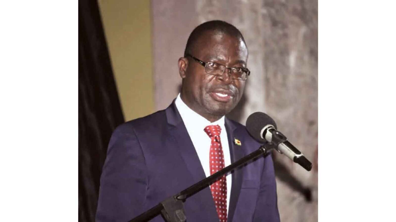 Zimbabwe launches digital COMESA yellow card verification – herald