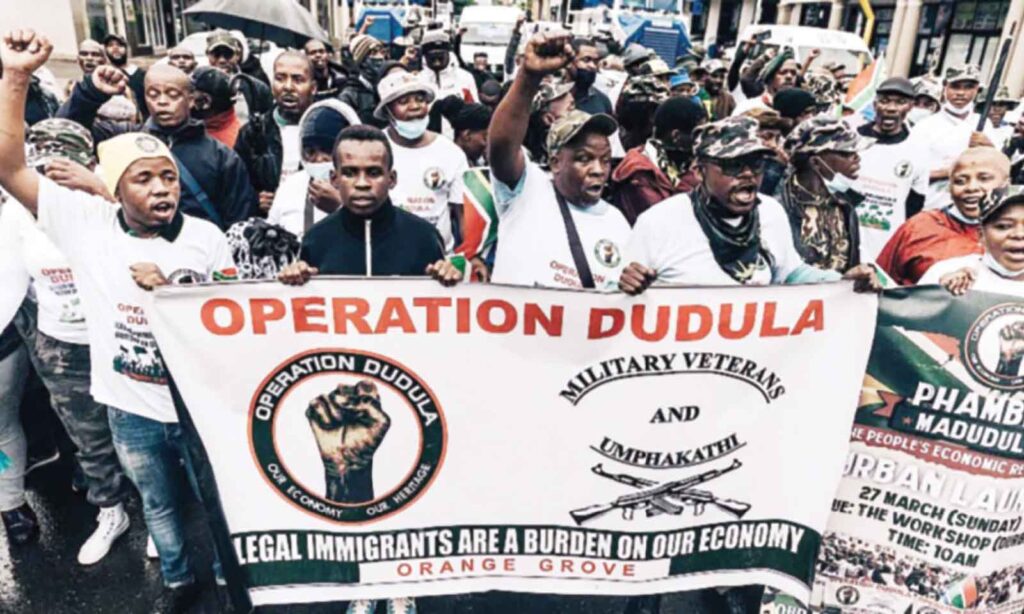 Operation Dudula an affront to history, reason - herald