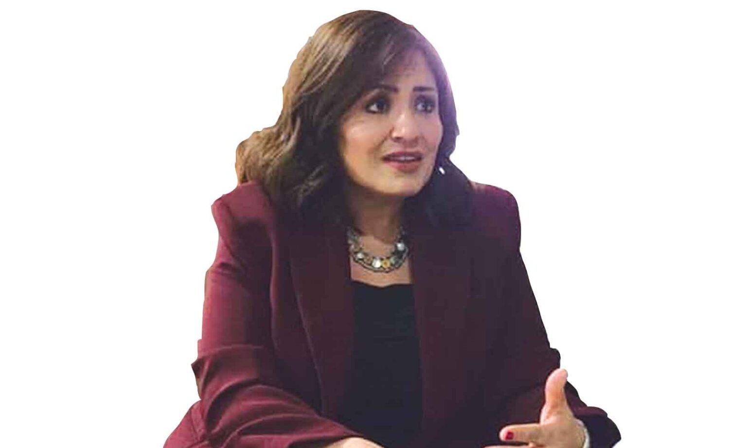 POINT BLANK: Zim, Egypt trade relations have doubled over the past few ...