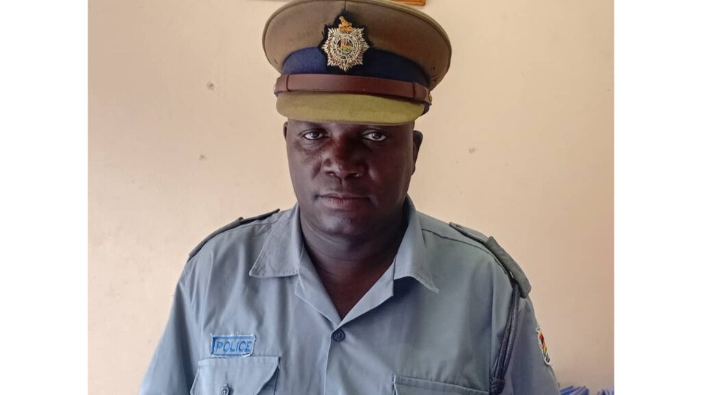 Mombe 28 dzanga dzabiwa dzakawanikwa - herald