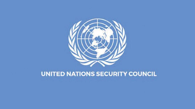 Zim has compelling case to win UNSC seat - herald