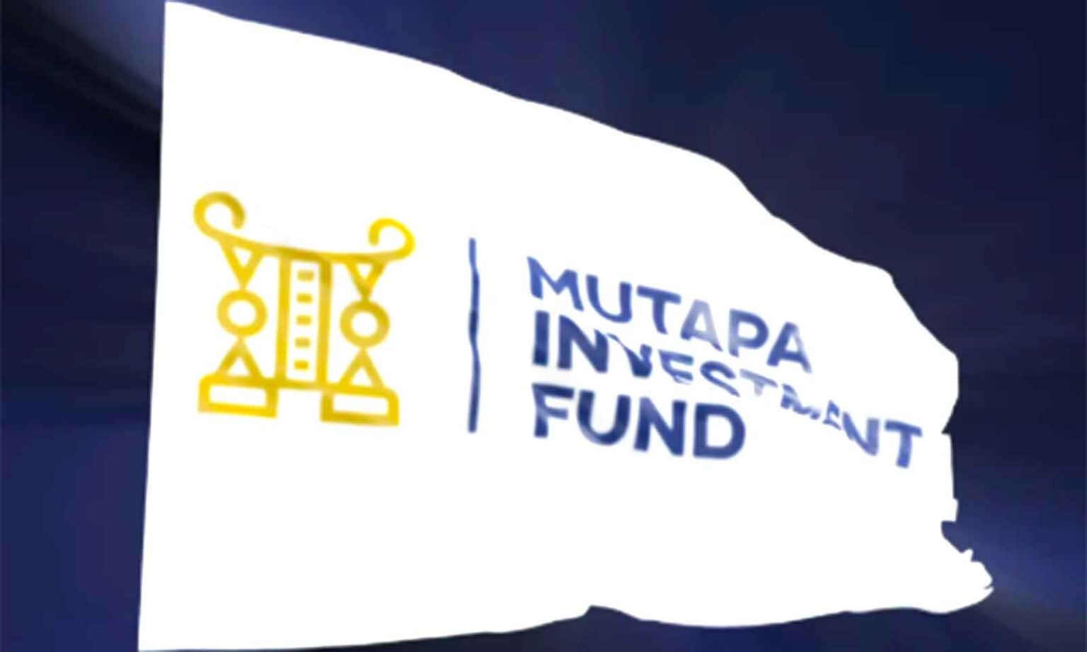 EDITORIAL COMMENT : Fully-backed Mutapa can turnaround State assets ...