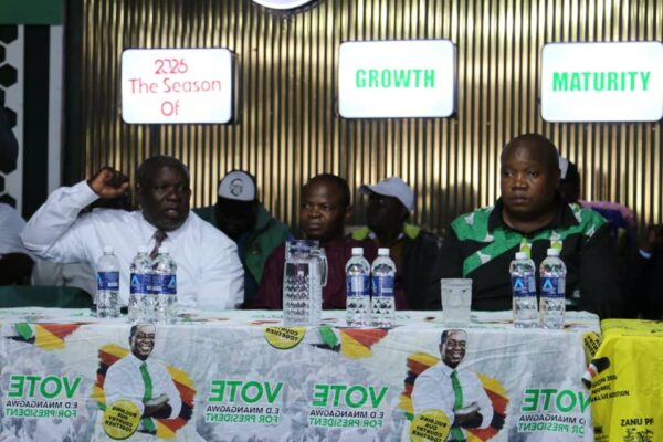 Zanu PF strengthens party structures – herald