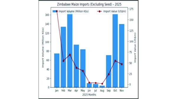 Zimbabwe maize import volumes down 37pc in 10 months – herald