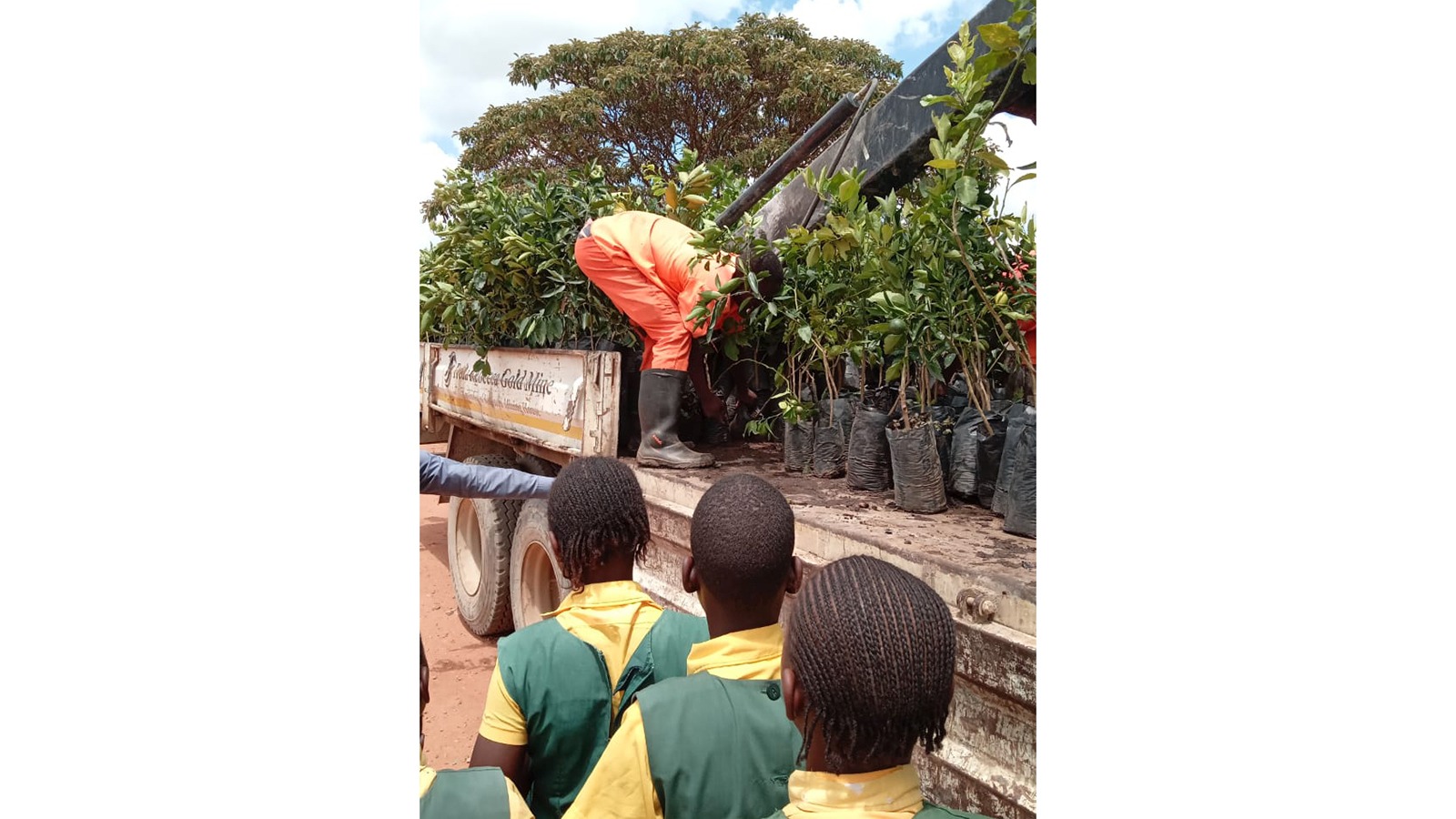 Freda Rebecca donates orchard trees, beehives to Bindura Prison Schools ...