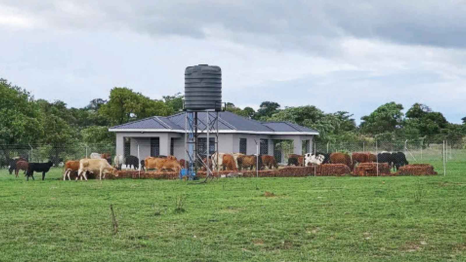 A touch of class in rural Zimbabwean homes – herald