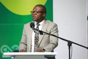 Govt widens car import ban - Zimbabwe Situation