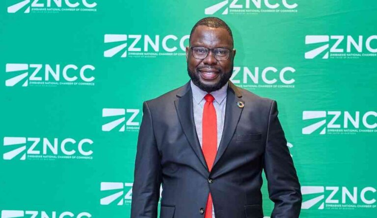 Zimbabwe shifts focus from donor funding to private sector financing ...