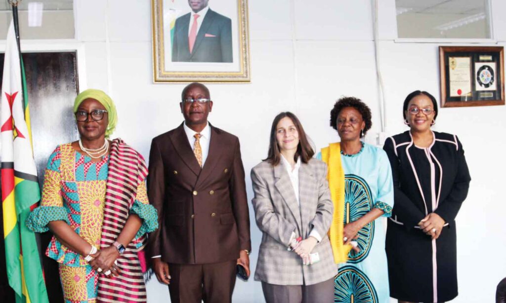 AU delegation commends Zim - Zimbabwe Situation