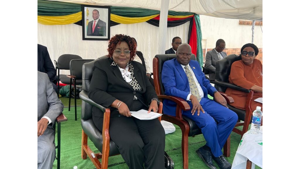 Energy Minister to commission LED lighting project at Gwanda Hospital ...