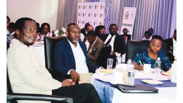 Zimbabwe plans ban on importation of locally producible goods – herald