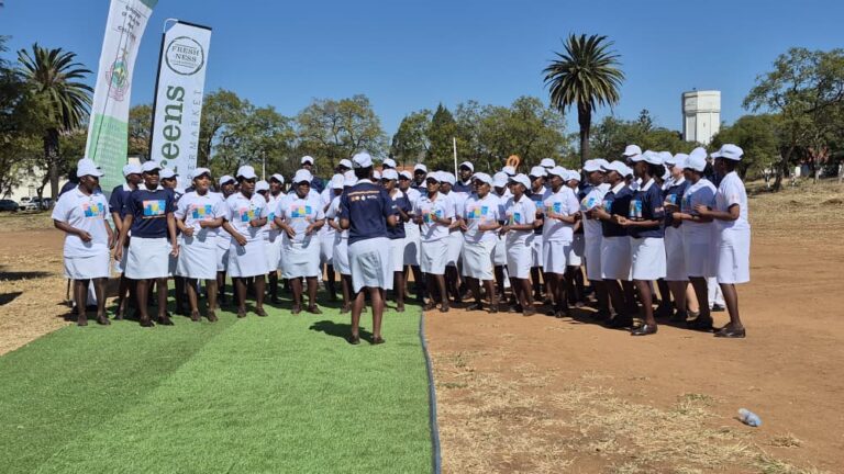 Nurse registration services set for decentralisation - Zimbabwe Situation
