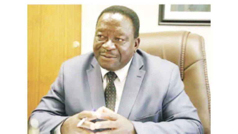 Ambassador Victor Matemadanda declared national hero – herald