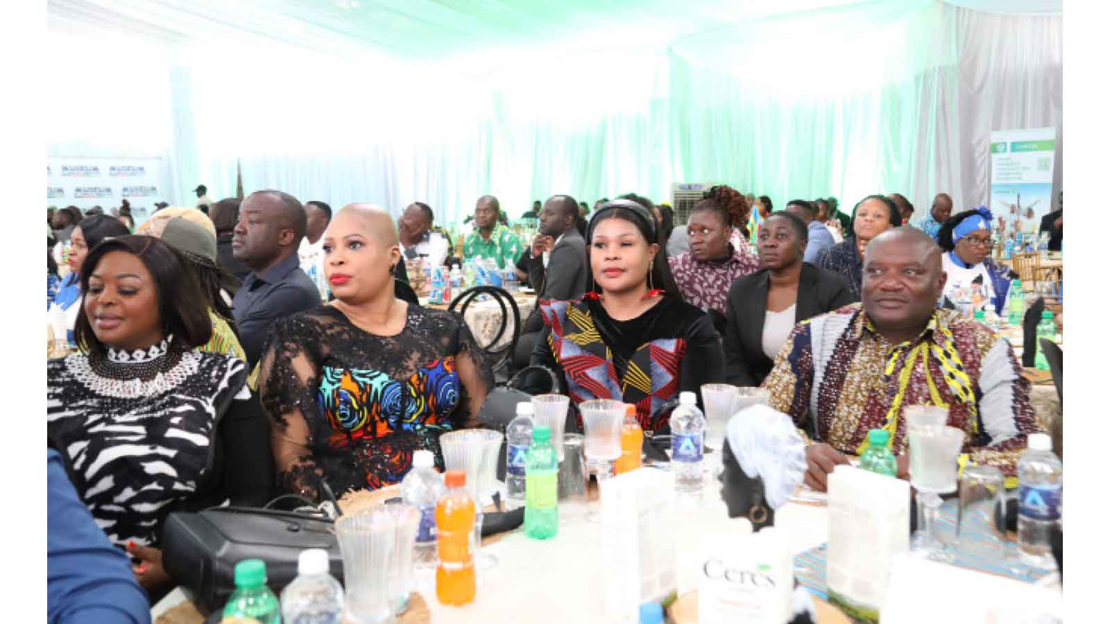 First Lady calls for greater African cooperation on water security – herald