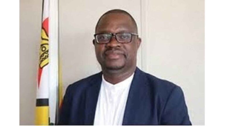 ZEC ready for Tsholotsho by-elections today - Zimbabwe Situation