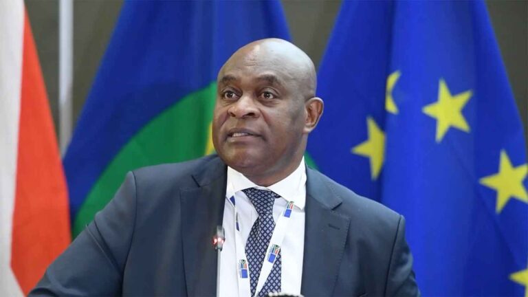 SA government dismisses June 30 migrant exit deadline - Zimbabwe Situation
