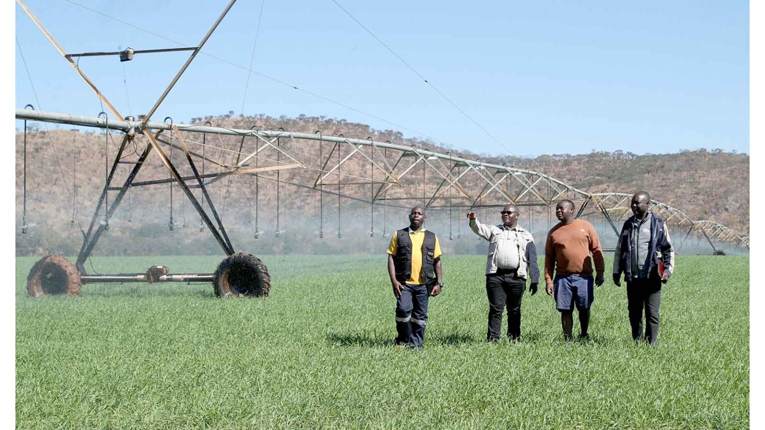 IRRIGATION, POLICY AND GRIT: THE FORMULA BEHIND ZIM’S UNSTOPPABLE WHEAT ...
