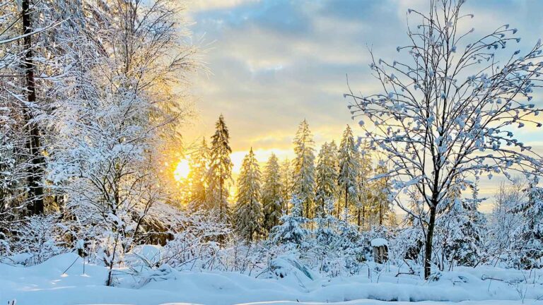 From surviving to thriving: Lessons Winter teaches about confidence ...