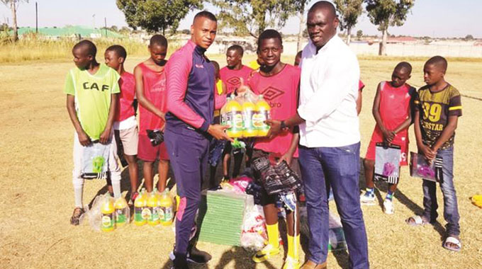 Musanhu heeds Govt calls - herald