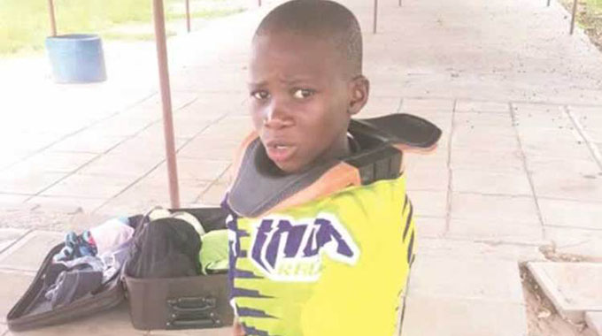 Bako, Manuel rule the roost at Zim series – herald