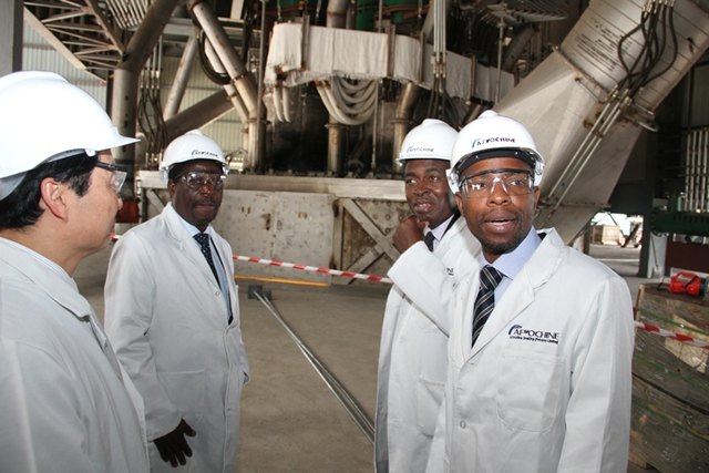 Afrochine mulls power plant for Selous smelter - herald