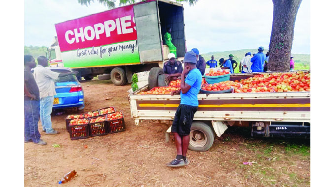 Chitora farmers target regional markets - herald
