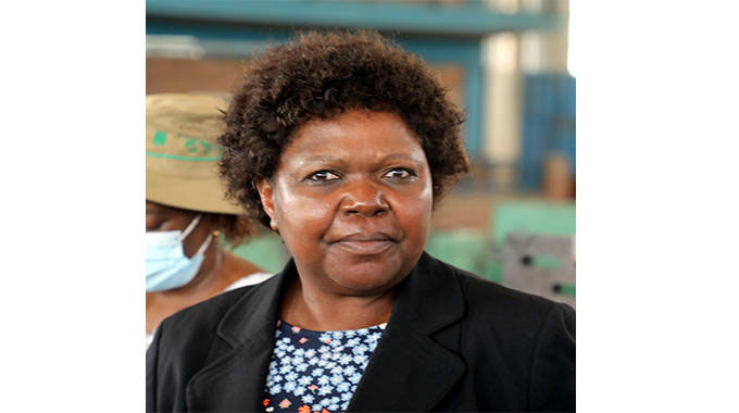 Zim to launch National GBV Strategy - herald