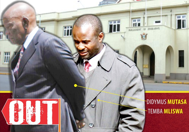 Mutasa, Mliswa cry foul over lost seats – herald