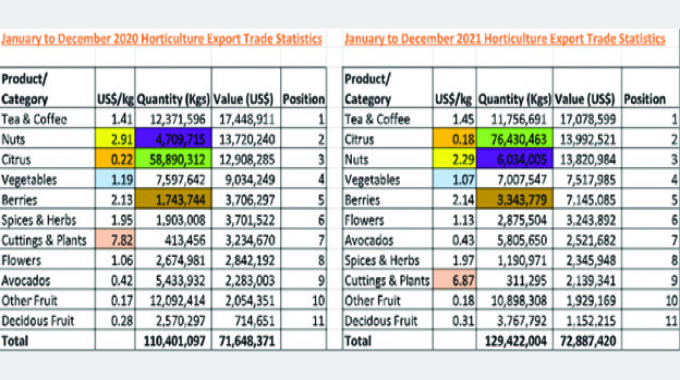 Horticulture exports grow 17pc as Govt incentives pay off - herald