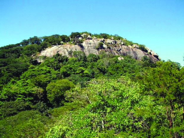 Hill of the Rock Rabbit – herald