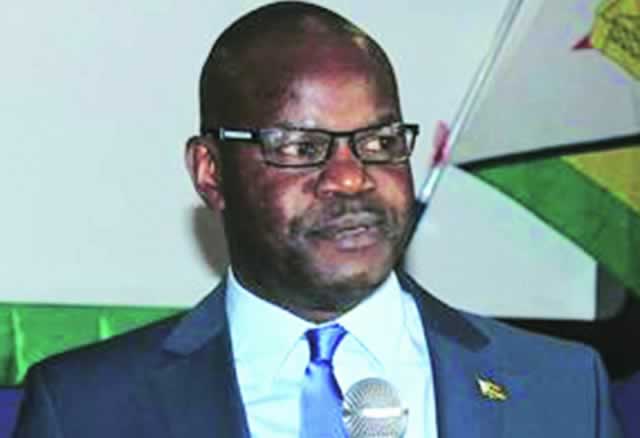 UPDATED: Mangwana new Information secretary – herald