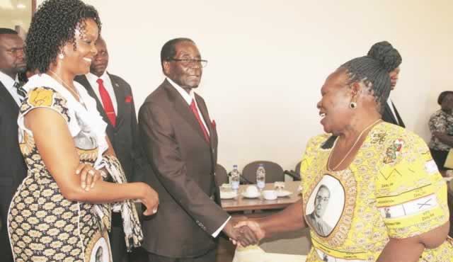 Zanu-PF orders Midlands truce - herald