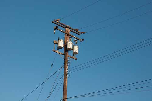 NEW: Fined for tampering with power line - herald
